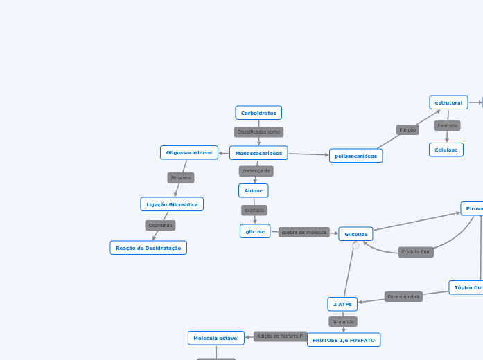 mapa conceitual - Concept Map